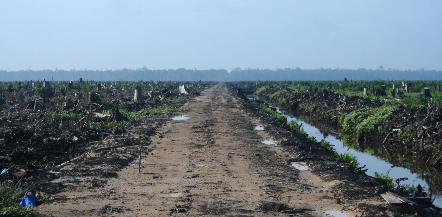 UU KUHAP 2025 dan Jalan Mundur Perlindungan Lingkungan - Green Network ...
